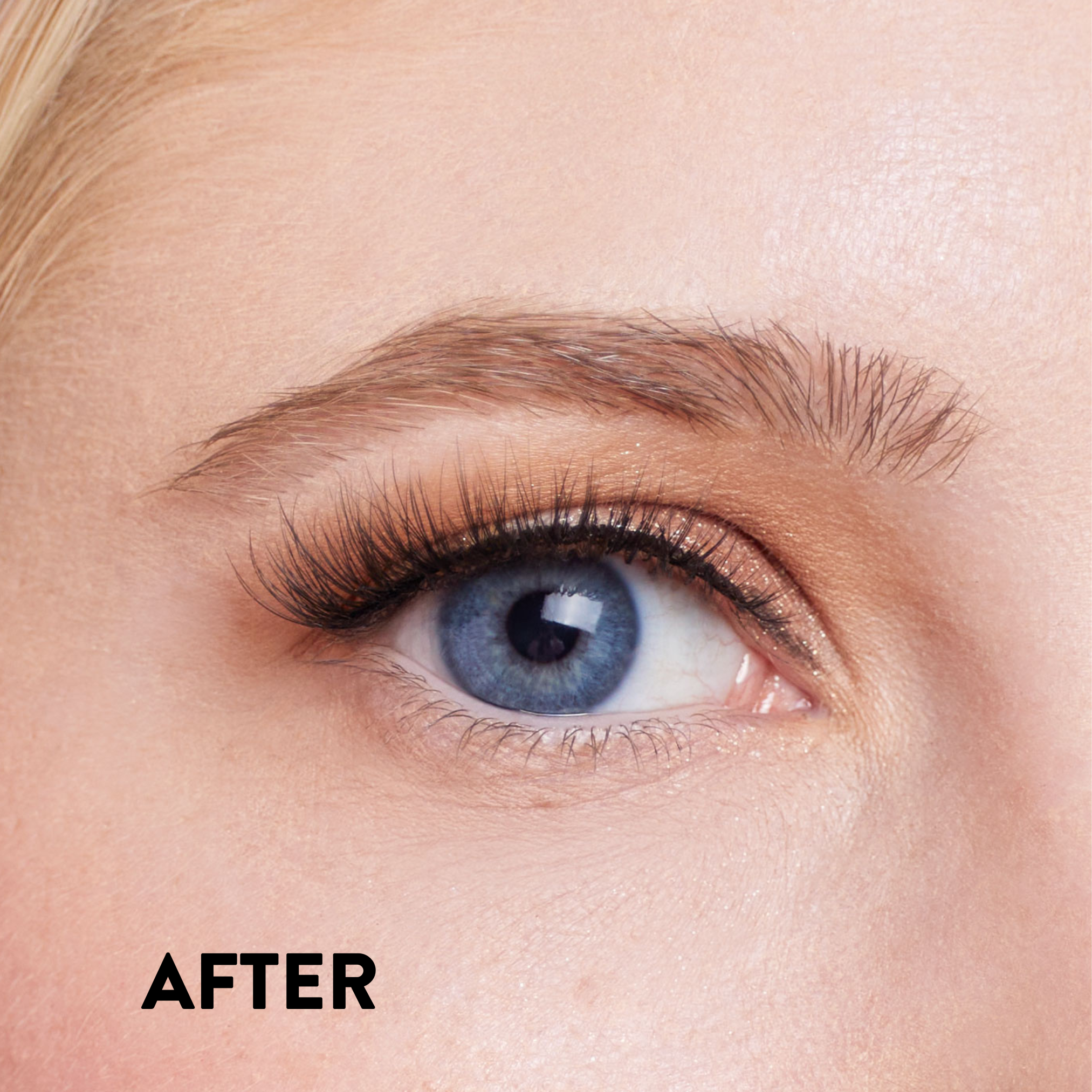 Lessons in Fearlessness Lash Lashes - Luxe False Eyelashes | Red Aspen