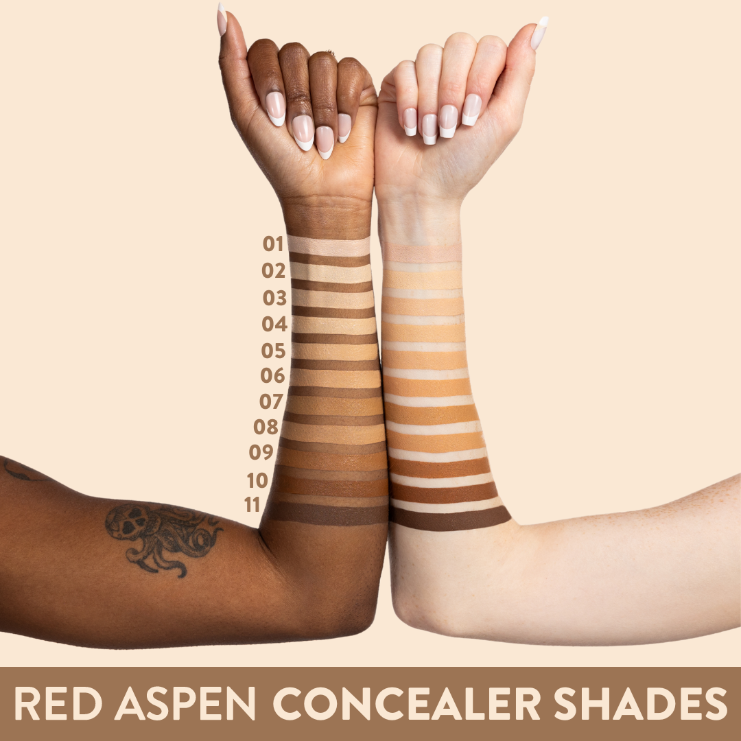 Concealer + Skin Tint Bundle – Red Aspen